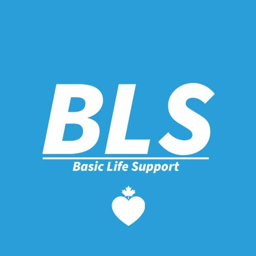 PACKAGE B: Basic Life Support, Mask Fit & WHMIS | Old Peak Excellence Site