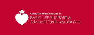 Standard First Aid & CPR Level C/AED | My Site